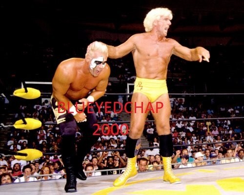 RIC FLAIR VS STING WRESTLER 8 X 10 WRESTLING PHOTO WWF NWA WCW | eBay