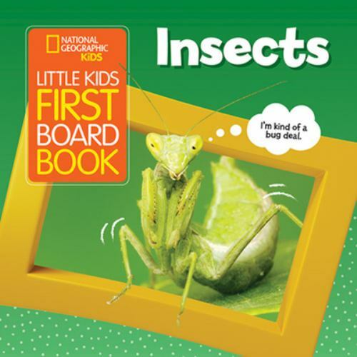 Little Kids First Board Book: Insects by Musgrave, Ruth A ...