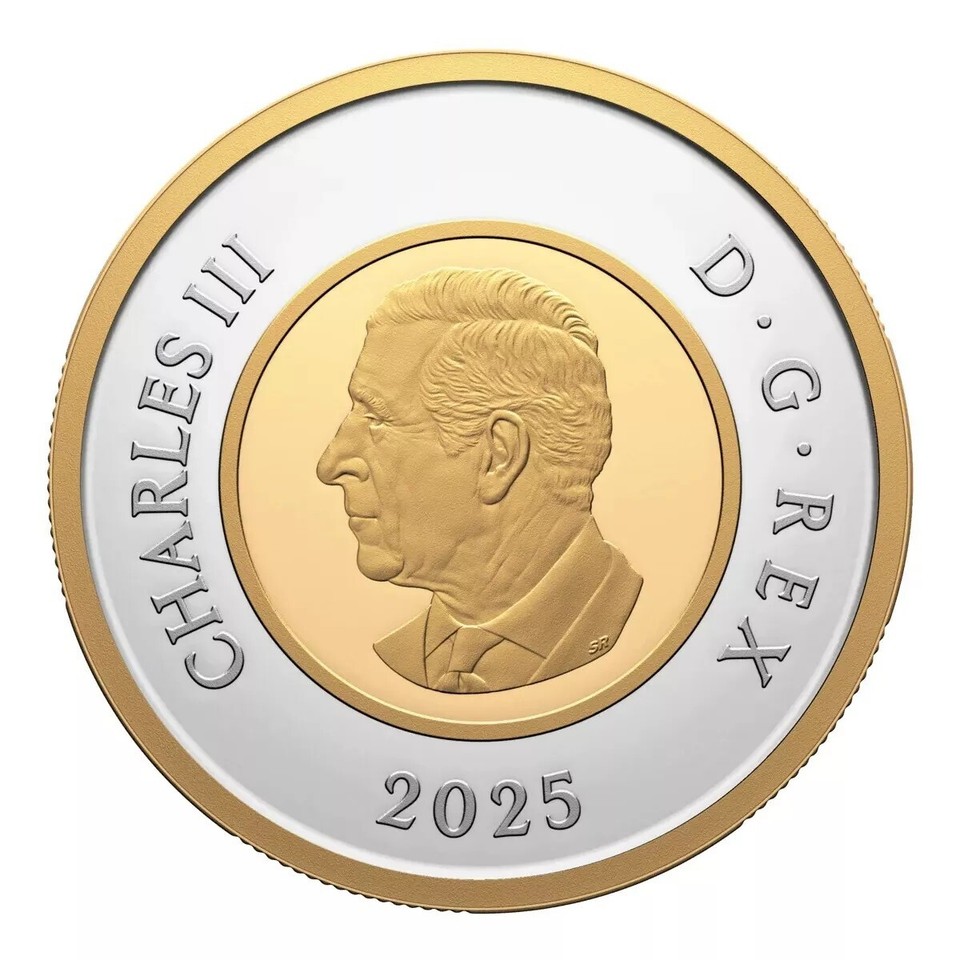 Canada 2025 Fine Silver Gold Plated Proof Toonie!! | eBay
