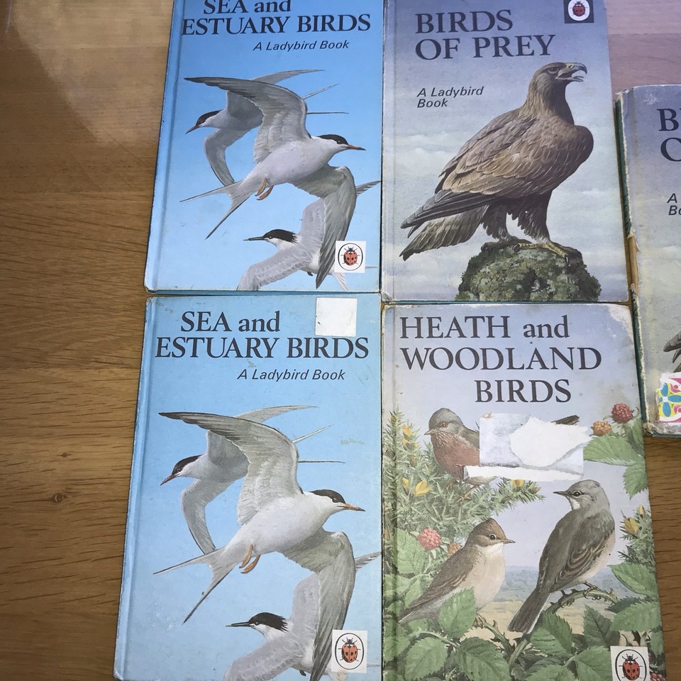 VINTAGE - LADYBIRD BOOKS x 5 - Birds NATURAL HISTORY series + | eBay
