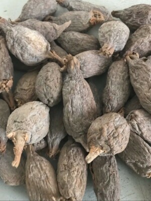 Alligator Pepper x4 Pods - Authentic Hot and Spicy seeds Atare Ose Oji ...