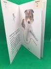 Shetland Sheepdog THE DOG artist 6inch photo book with 4 post cards ...