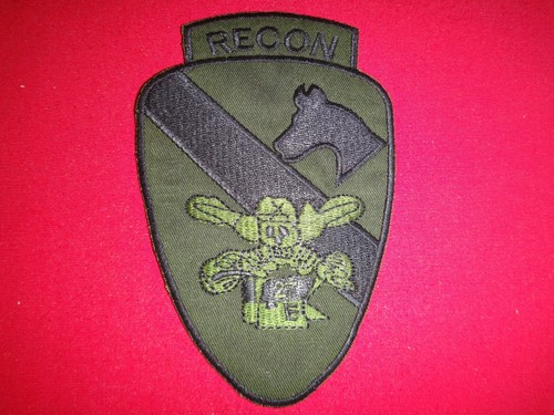 RECON, E Co 2nd Sq 1st Bn 7th Cavalry Rgt 1st Cav Div. Vietnam War ...