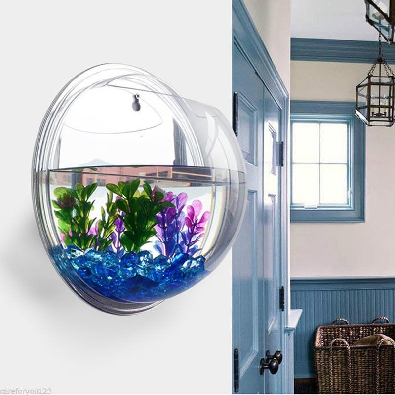 Wall Mounted Hanging Fish Bowl Aquarium Tank Beta Goldfish Plant Home ...