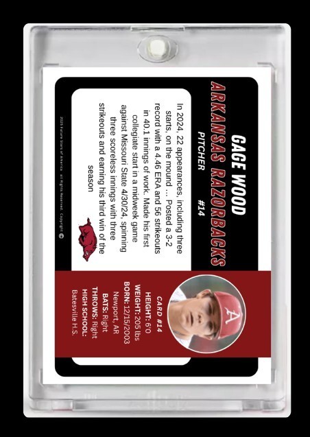 2025 Gage Wood Future Stars NCAA Rookie Card #14 Arkansas Razorbacks | eBay