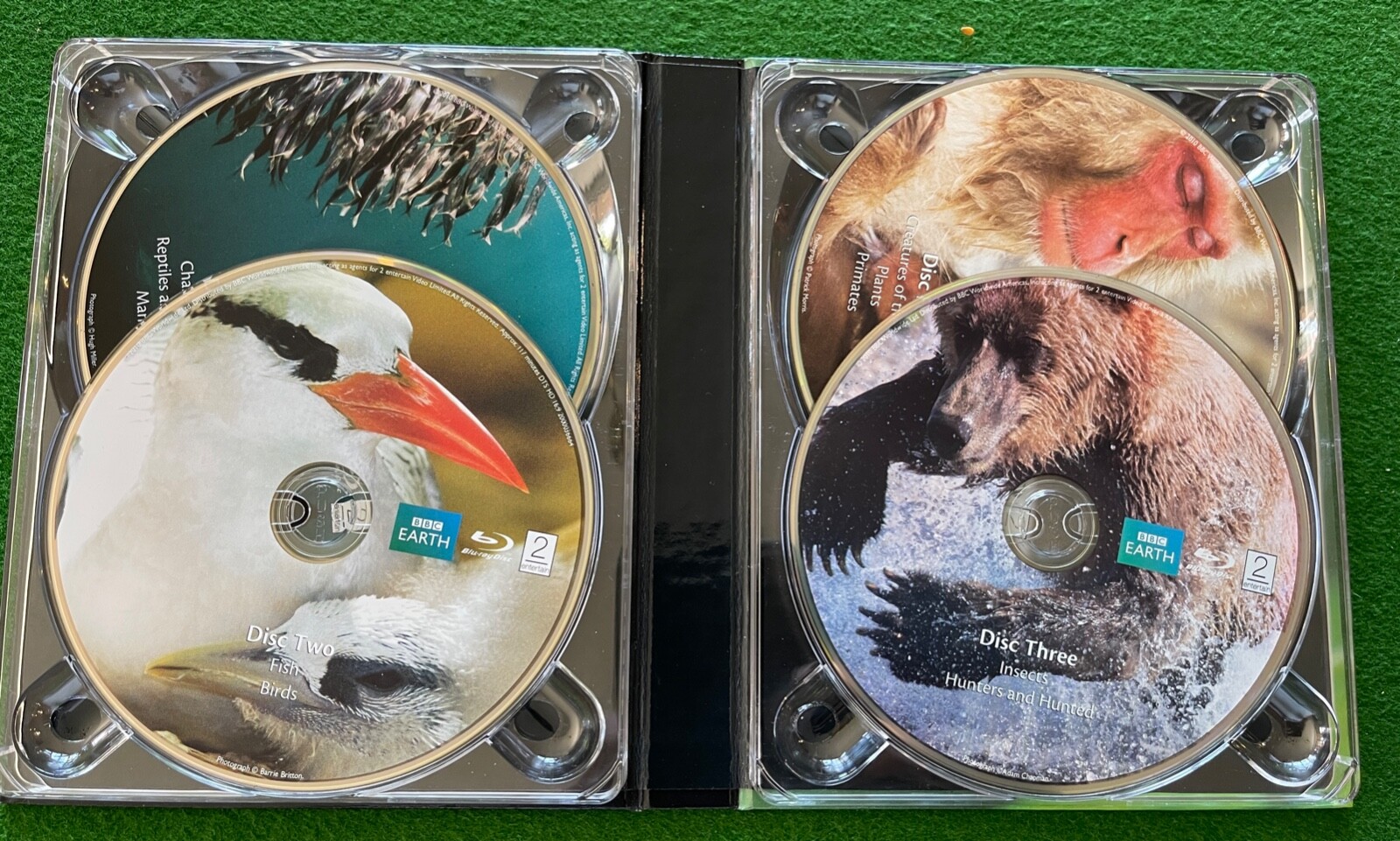 Life BBC Earth Series Cpmplete Box Set (4 Discs) Blu-Ray David ...
