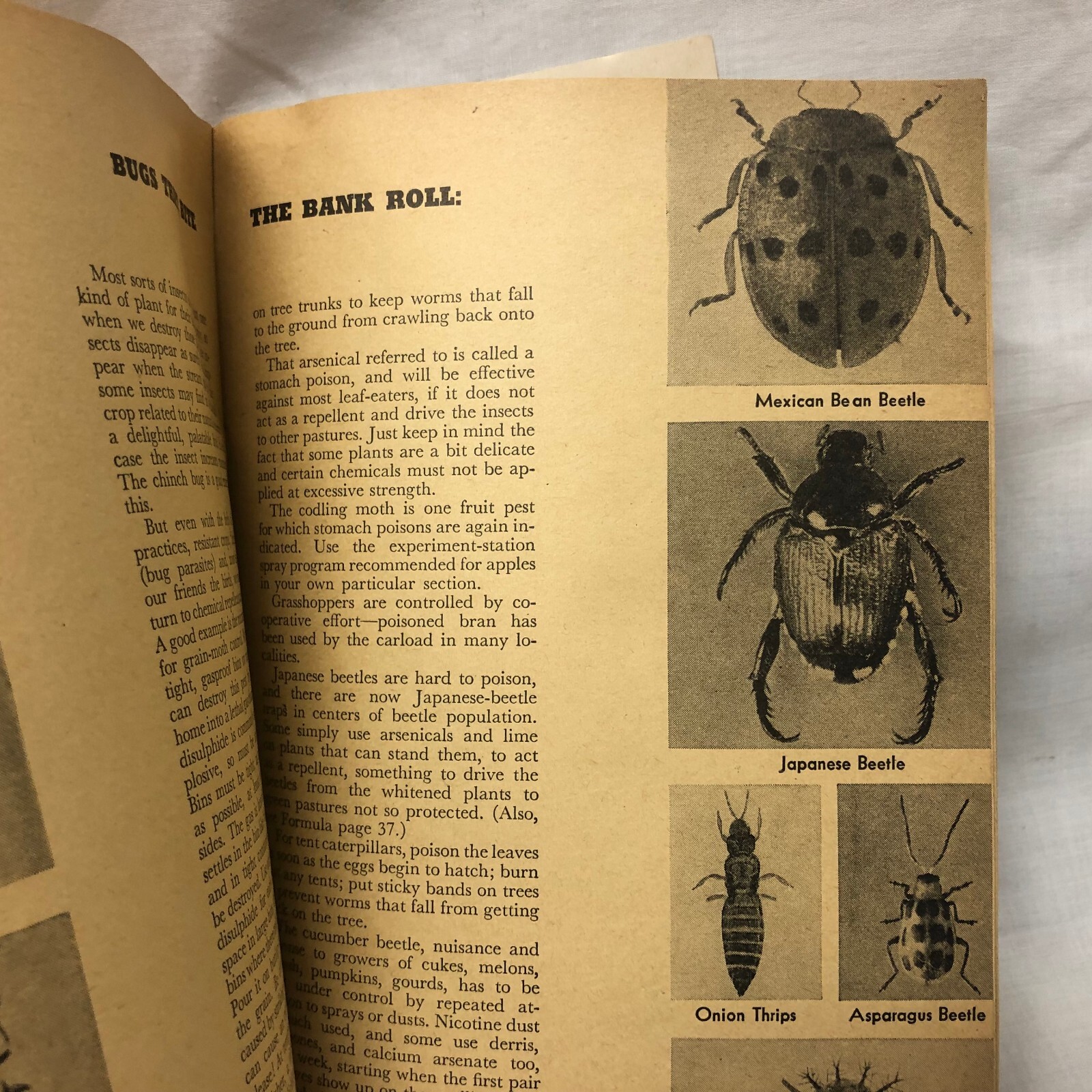 Vintage 1941 Successful Farming Booklet | eBay