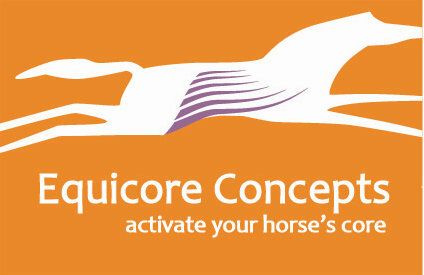 The GENUINE EQUIBAND® PRO SYSTEM for horse core conditioning! *FREE ...
