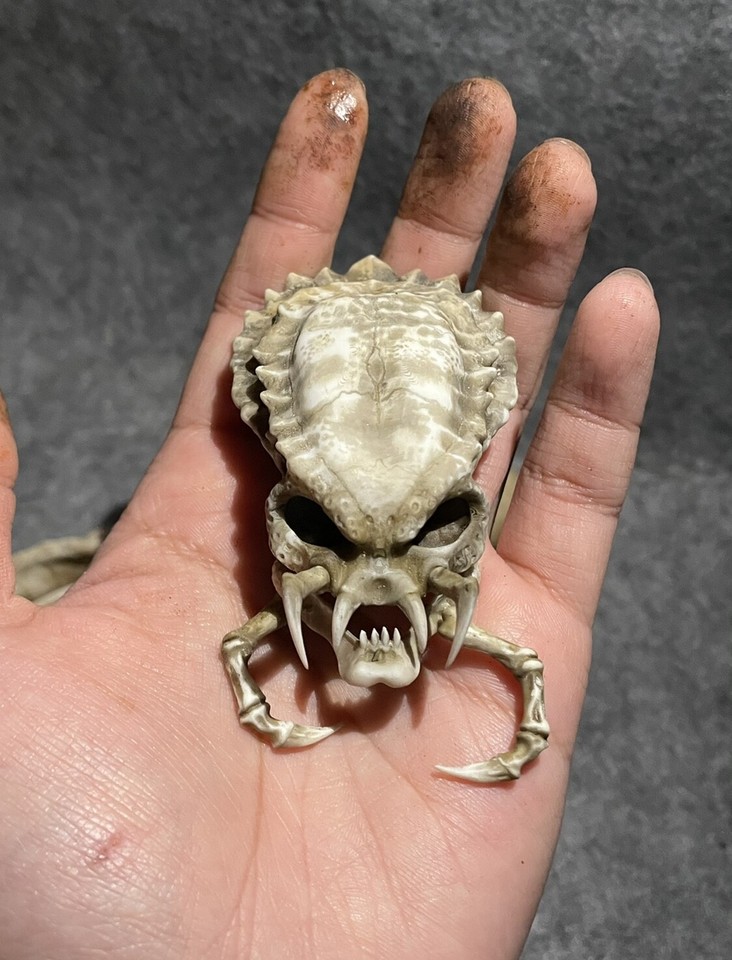 Alien Xenomorph Skull bone model For 1/6 Model Scene | eBay