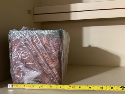 A Minecraft Movie AMC Theater Exclusive Popcorn Bucket New | eBay