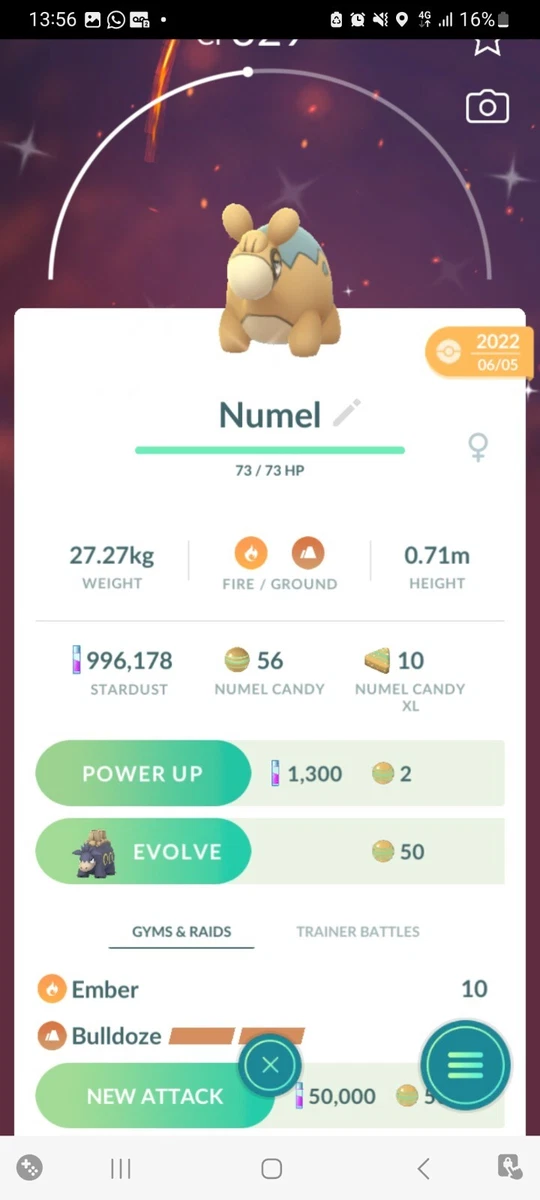 Pokemon Shiny Numel