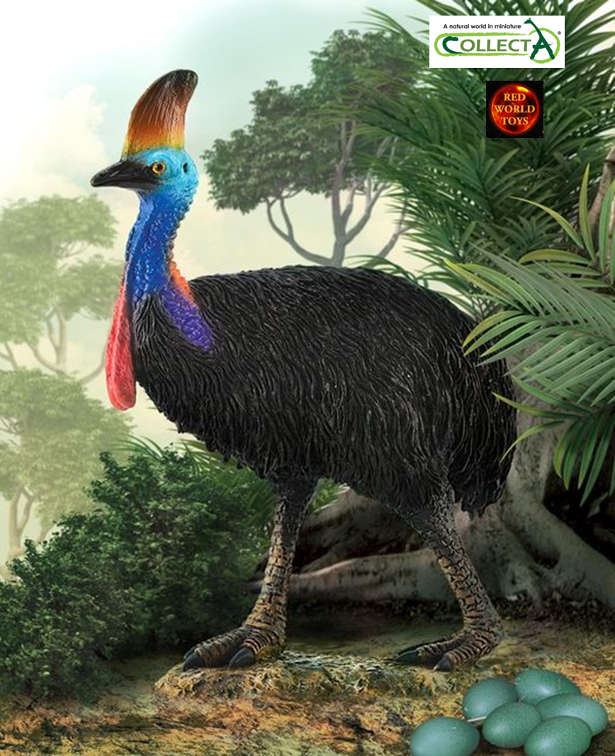 Cassowary Cute Southern Cassowary By Birdorable
