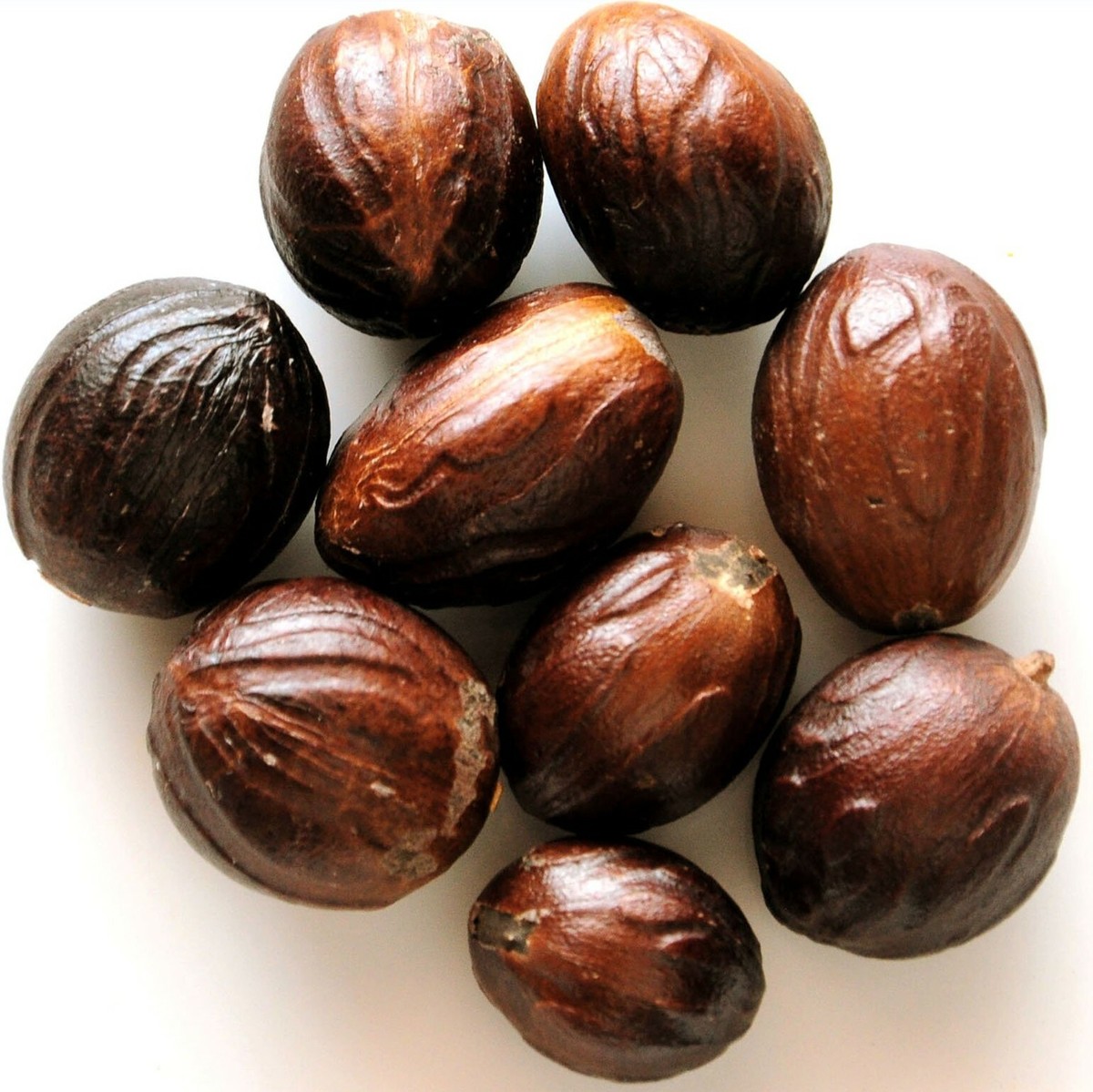 Nutmeg Seed