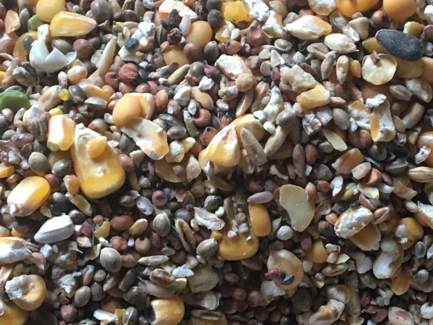 Pp Partimix 20kg (uncooked) Carp Fishing Particle Bait | eBay UK