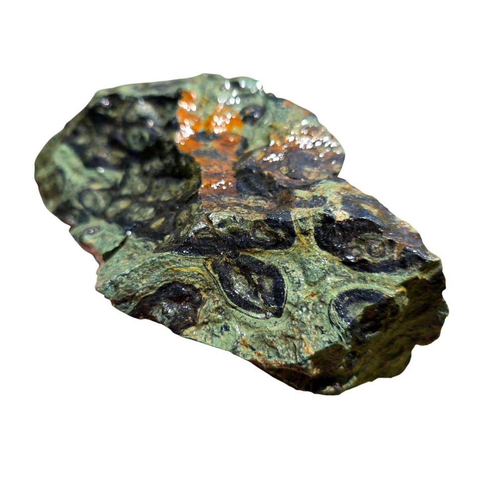 Kambaba Jasper Rough – Large Crocodile Stone for Cutting or Cabochon ...