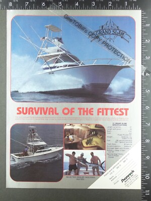 1986 ADVERTISEMENT for Shamrock Marine 31 Grand Slam Sportfisherman ...