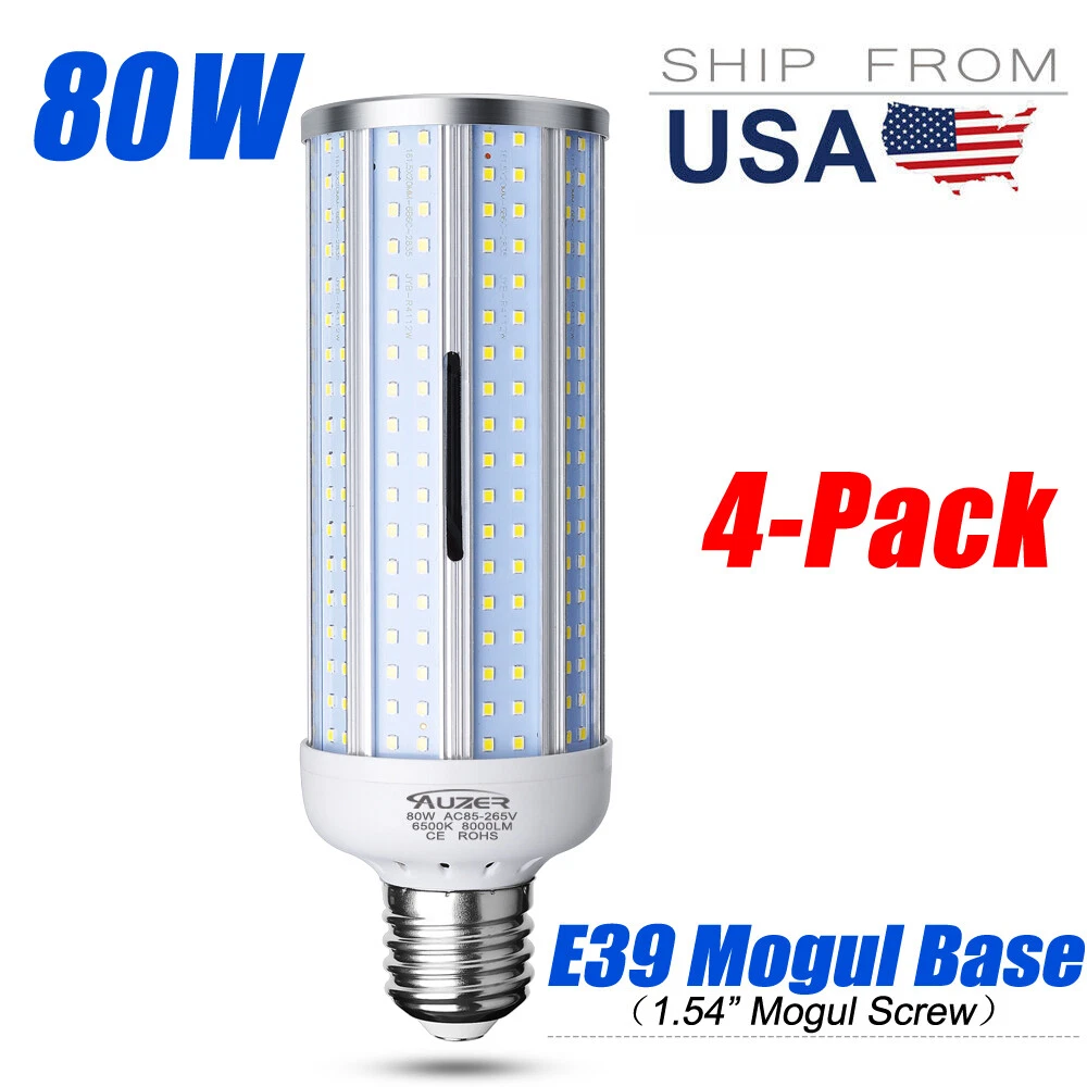 Large Base Light Bulbs