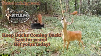 Mock Scrape Hemp Rope (3/4" X 4’) | eBay