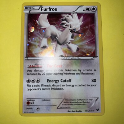 Furfrou 114/146 Holo Rare Pokemon Card XY | eBay