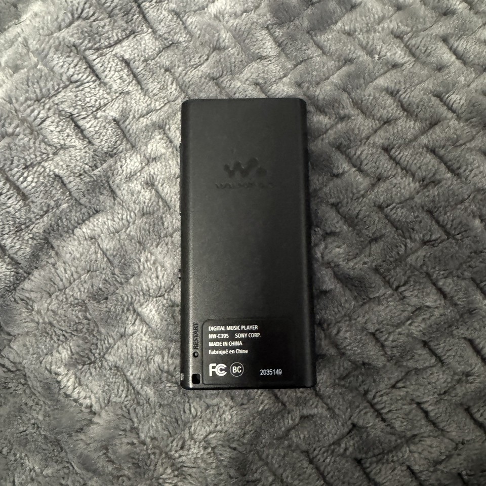 Sony NW-E395 16GB Walkman Digital Music Player / Black | eBay