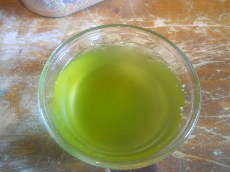 Chlorella Sp. Freshwater Phytoplankton Green Water Starter. Indoor ...