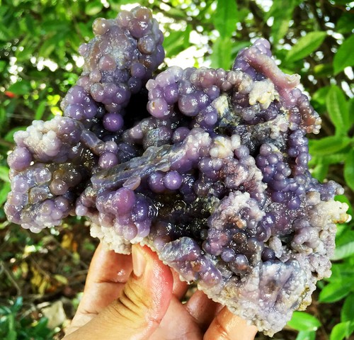 908g Natural Botryoidal Chalcedony Starlight Purple Grape Agate ...
