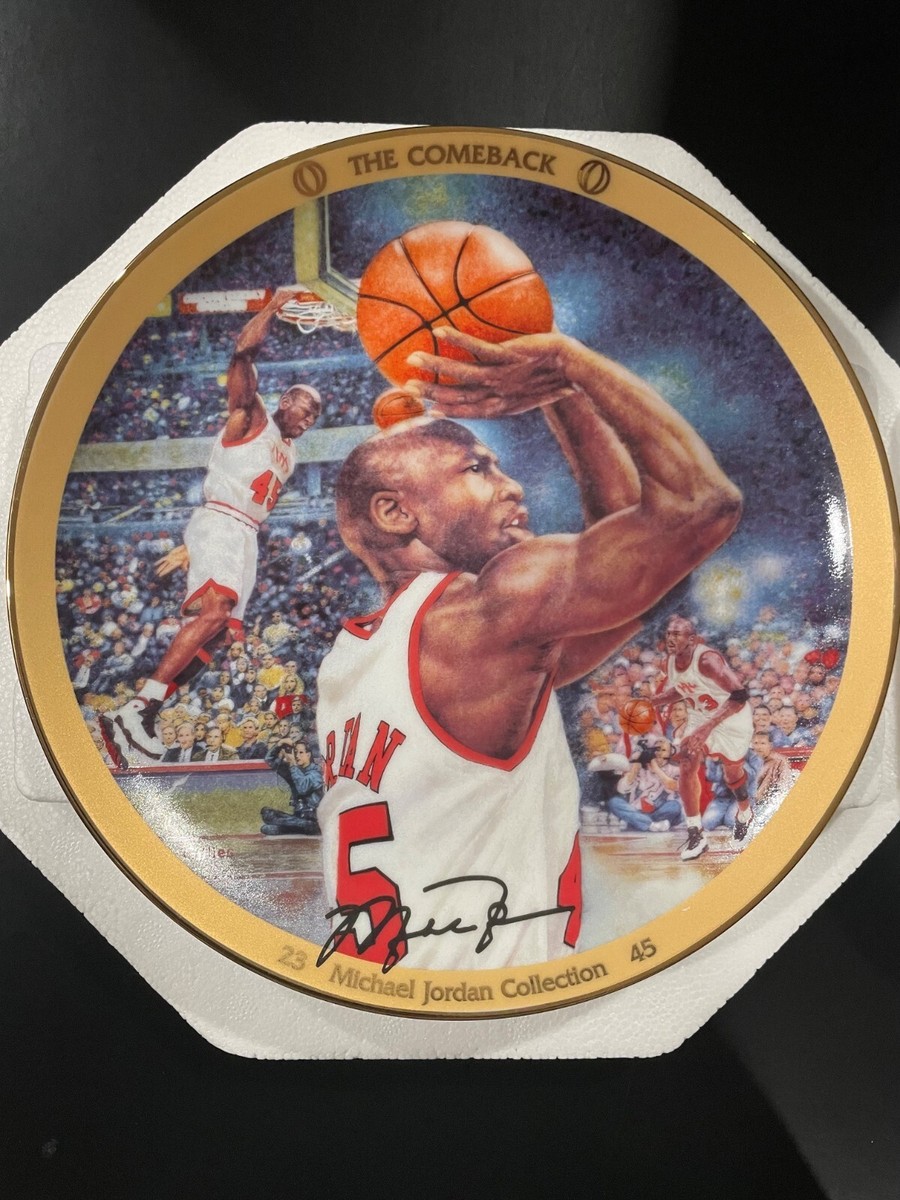 Michael Jordan 2001 Return