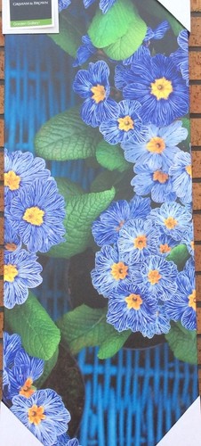 89278 Primrose BlueBell Garden Gallery Indoor or Outdoor Canvas by ...