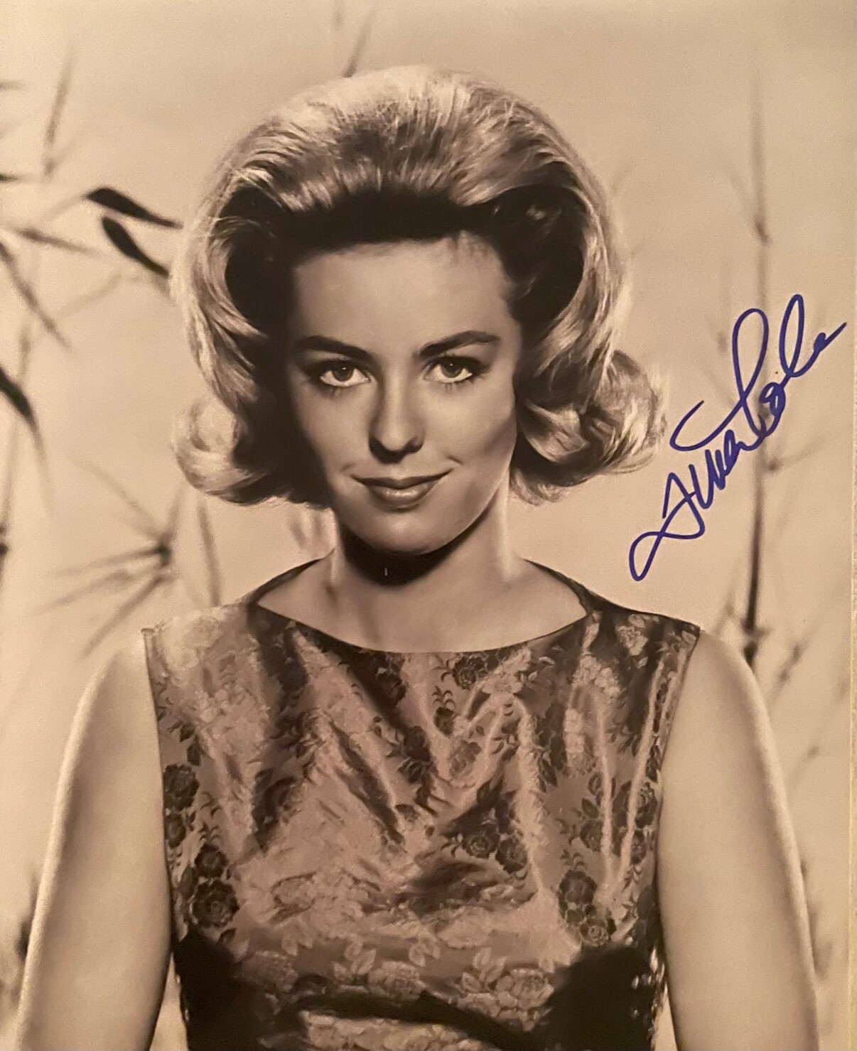 Tina Cole HAWAIIN EYE Original Autographed 8X10 photo #34 | eBay