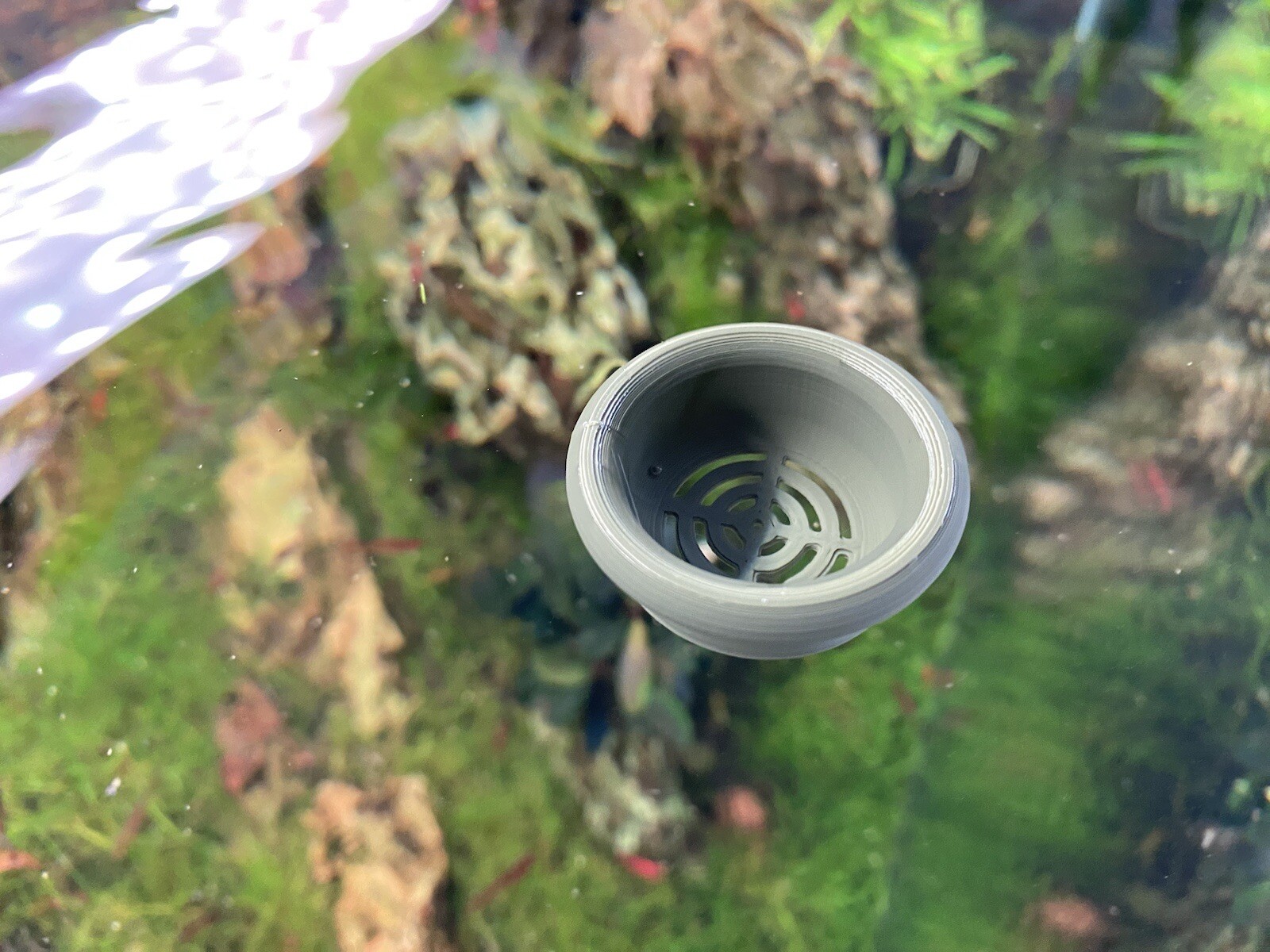 FLOATING Fish Feeder Aquarium Fish Tank Bloodworm Brine Shrimp Frozen ...