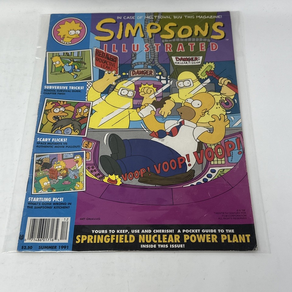 Lot of 2 Simpsons Illustrated Magazines Summer 1991 & Spring 1992 | eBay