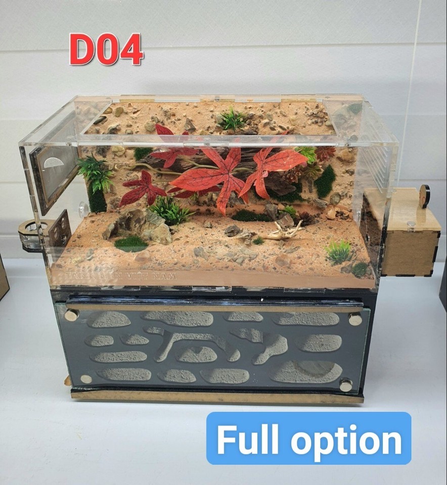 Ant tank/Ant farm - Nest D04 - Max option | eBay