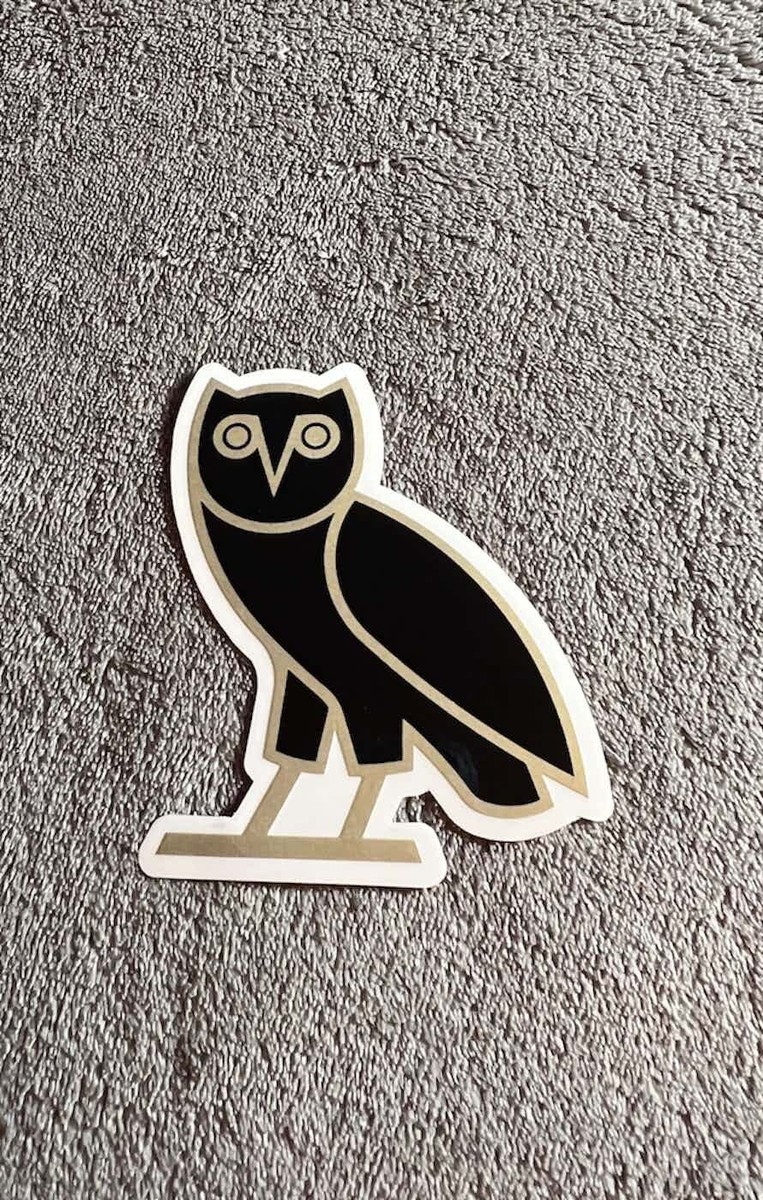 Drake Logo Owl