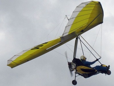 Motorfloater Flylight Light Trike Airplane Wood Model Replica Large ...