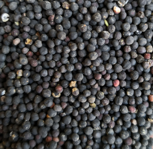 100g 100% Natural Raw Herb Semen Vaccariae Segetalis – Wang Bu Liu Xing ...