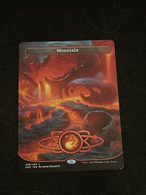 Mountain (238) Borderless Land MTG Unfinity NM Magic the Gathering Card ...