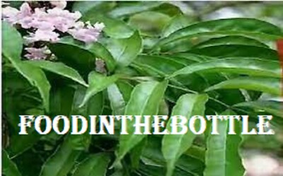 50g Room Dried Ewe Akoko (Yoruba) Fertility Leaves Aduruku Ogirisi ...