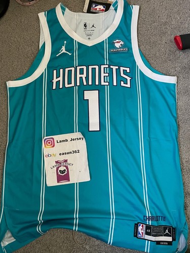 2024 Nike NBA Charlotte Hornets Melo Ball Icon Edition Jersey 48+2 ...