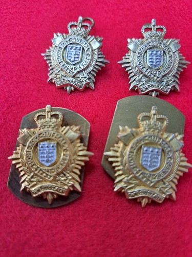 ROYAL LOGISTICAL Corps LAPEL BADGE WITH REAR PIN FASTENING. | eBay UK