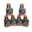 6450001G (6) Echo 1 Gallon Power Blend Xtended Life Oil Gas Mix 2 ...
