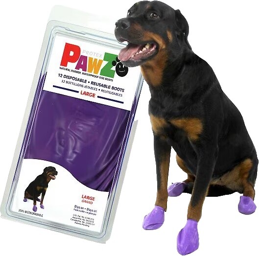 Qumy Dog Boots | eBay