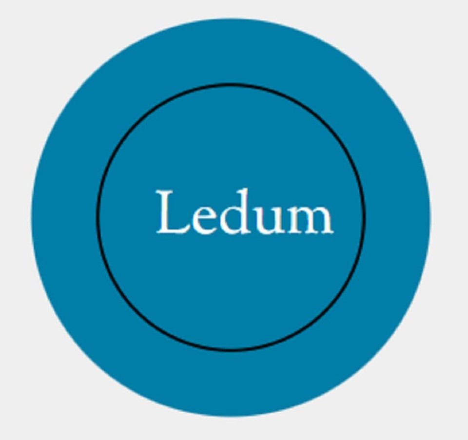 Ledum Essential Oil Bottle Cap Stickers | eBay