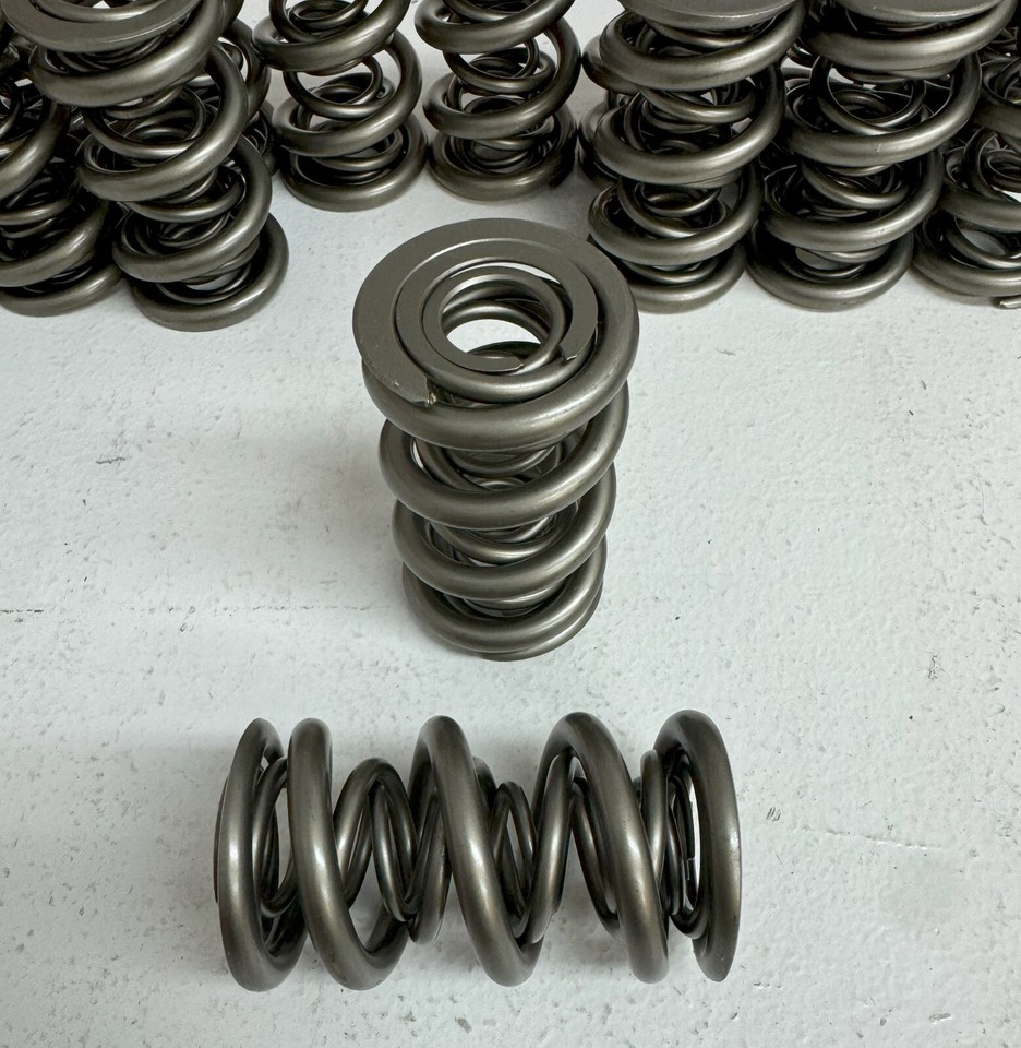 NEW Lunati Nitride Triple Valve Springs PN: 75853-16 | eBay
