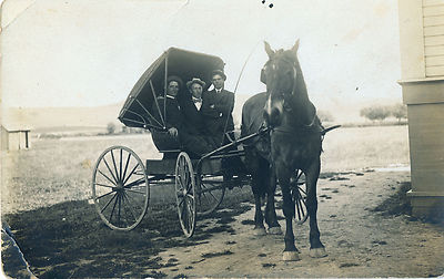 c1910 RRPC "One Horse Open Shay?" Horse People Odd Carriage Cart | eBay
