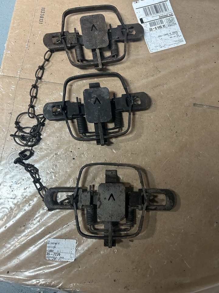 Used Victor Coil Spring Traps | eBay