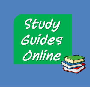 Study Guides Online | eBay Stores