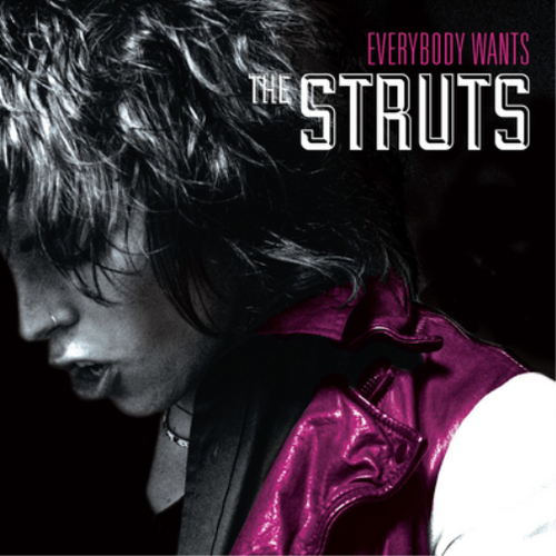 The Struts Everybody Wants (CD) Album (UK IMPORT) 602537506644| eBay