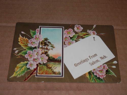 SALEM NEBRASKA - 1907-1910'S ERA UNUSED GREETING POSTCARD - RICHARDSON ...