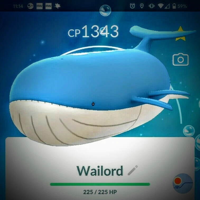 Wailmer Pokemon Evolution Chart