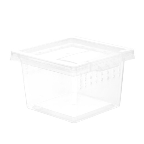 Insect Rearing Box Reptile Breeding Container Transparent Large Pet ...